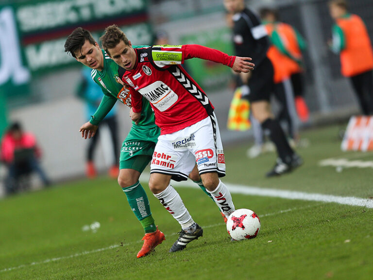 Stat-Facts SVR vs. SK Rapid Wien - SV Ried